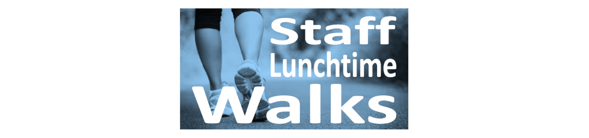 Staff Walking Groups | B Well Belfast