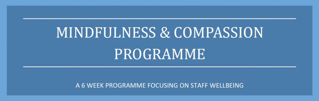 Mindfulness & Compassion 6 Week Programme | B Well Belfast